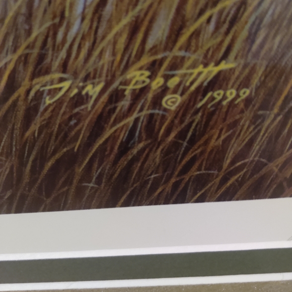 Jim Booth | Art | Jim Booth Marsh Buck Signed Numbered Picture ...